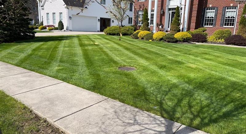 Lawn Care Maintenance | Naccarato Landscaping & Design, LLC